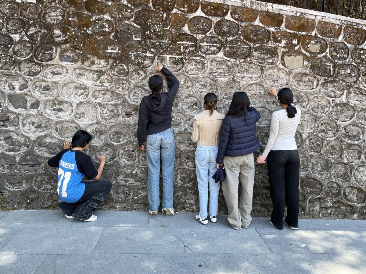 Fighting the Tree Propaganda